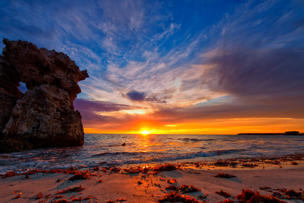 Home - Roper and Sons