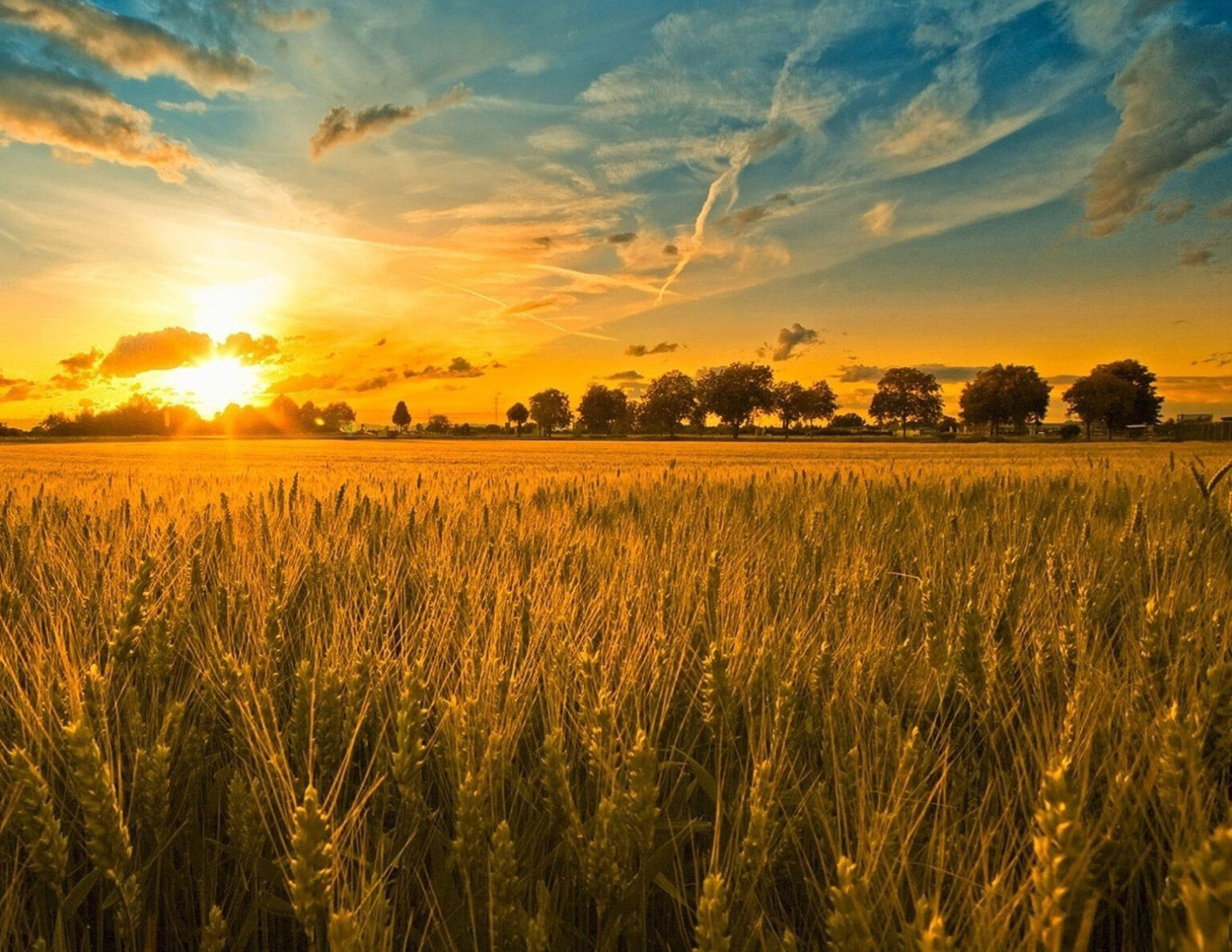 James "Jim" Benjamin Howat - Roper and Sons